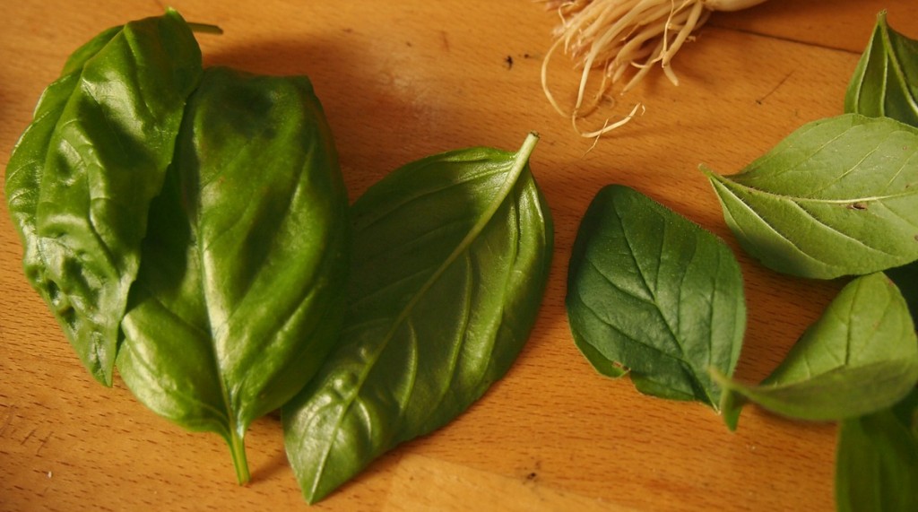 Salsa de pesto: receta fácil y saludable - Notas Naturales