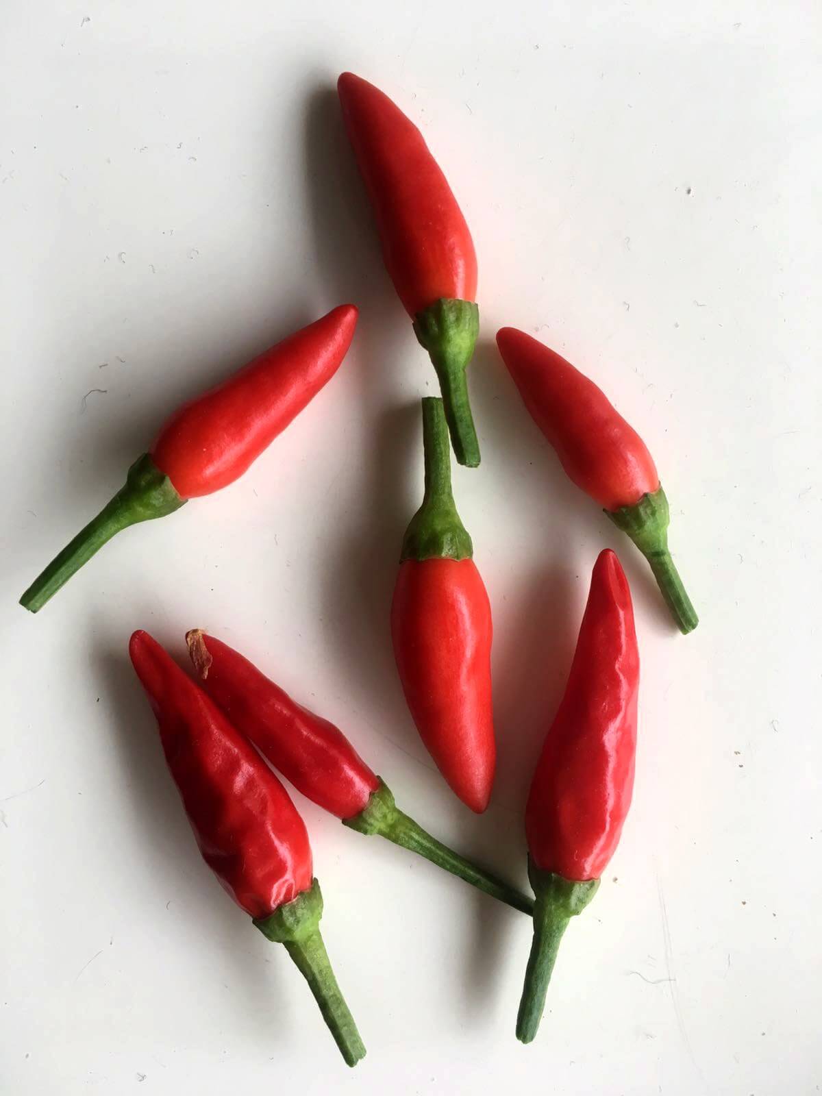 Pimienta de cayena: cultivo y propiedades medicinales y nutritivas