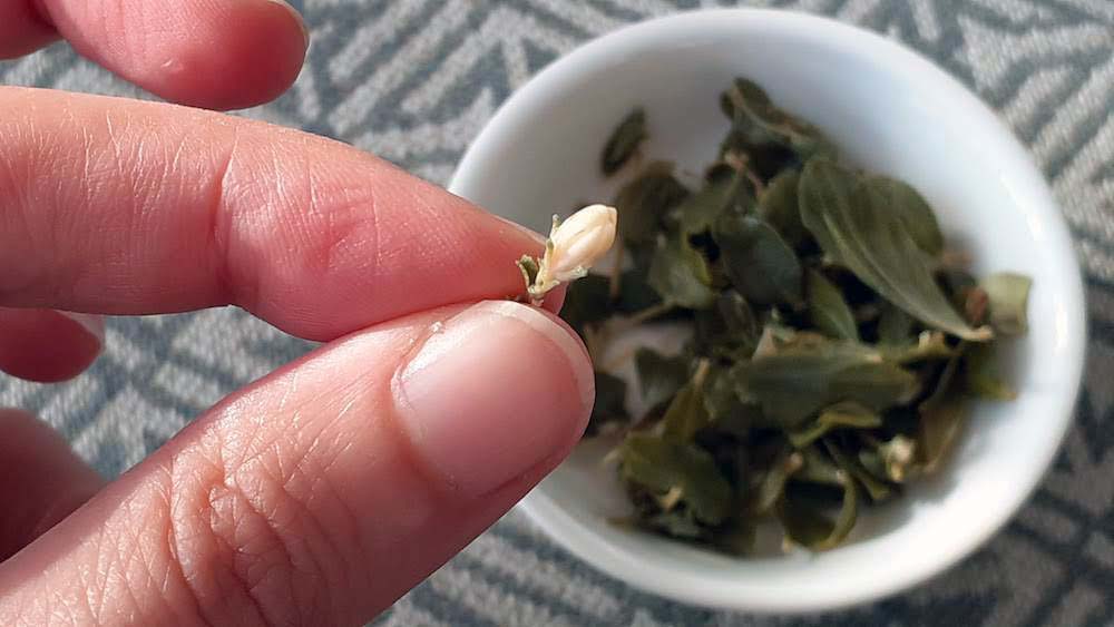 Buchu: planta medicinal de Sudáfrica - Notas Naturales