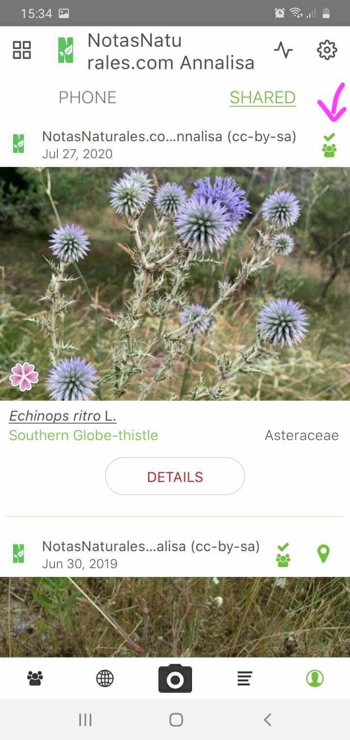 PlantNet app: cómo funciona y cómo instalarla (tutorial) - Notas Naturales