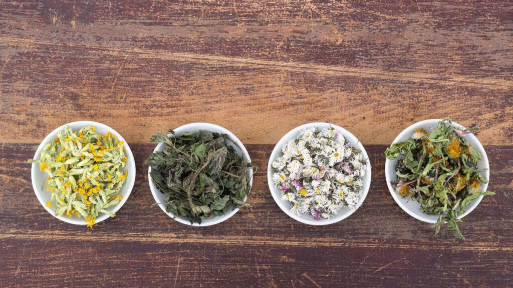 10 hierbas para infusiones y sus propiedades | Notas Naturales